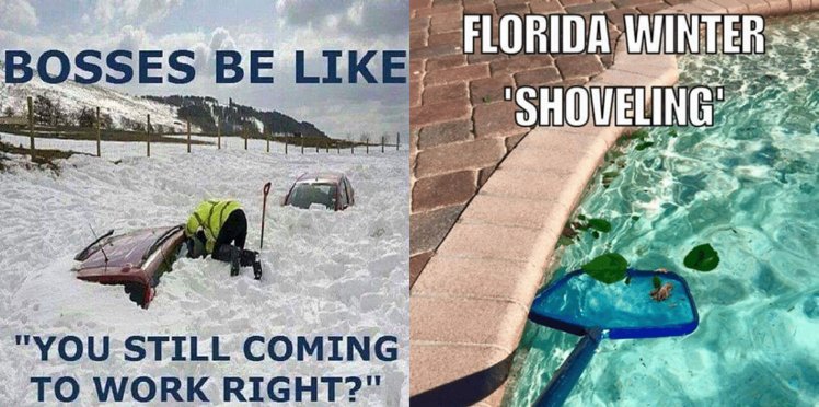 Bosses Be Like Meme Snow