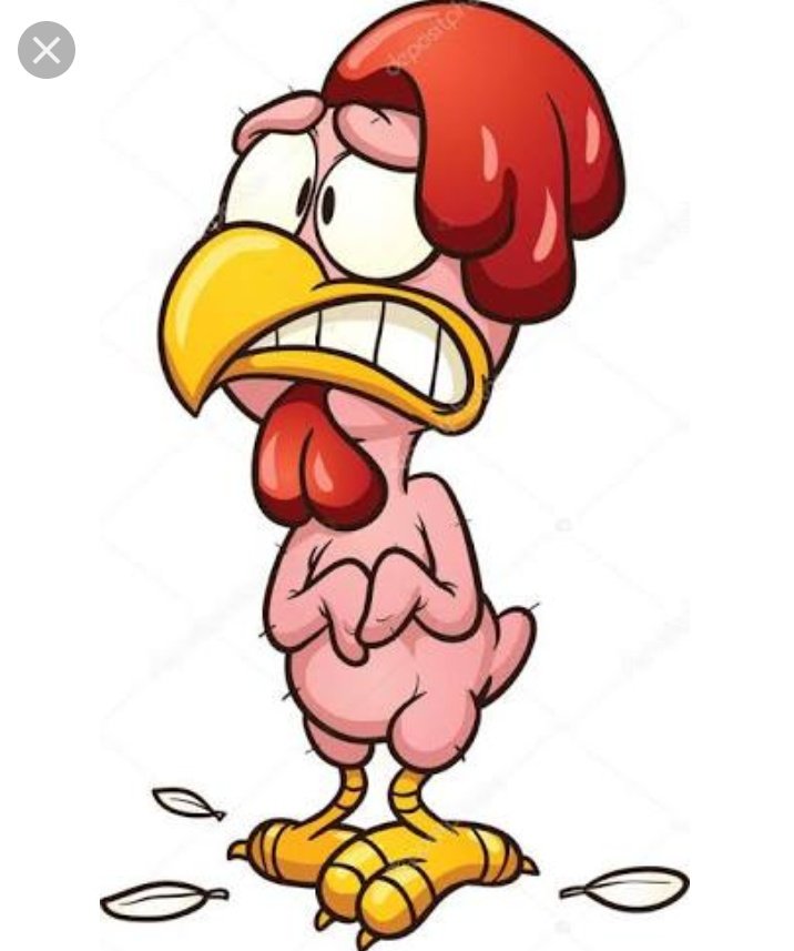 Clip Art De Pollo Flaco Plucked Chicken Hen Hi Res Stock Photography