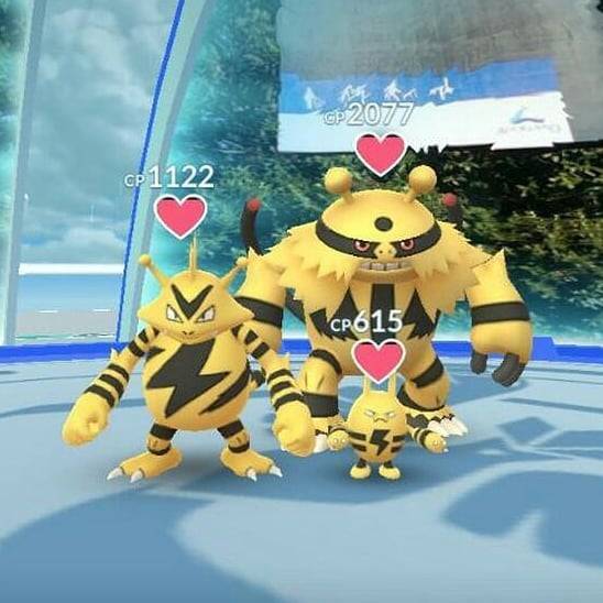 Elekid Electabuzz Electivire