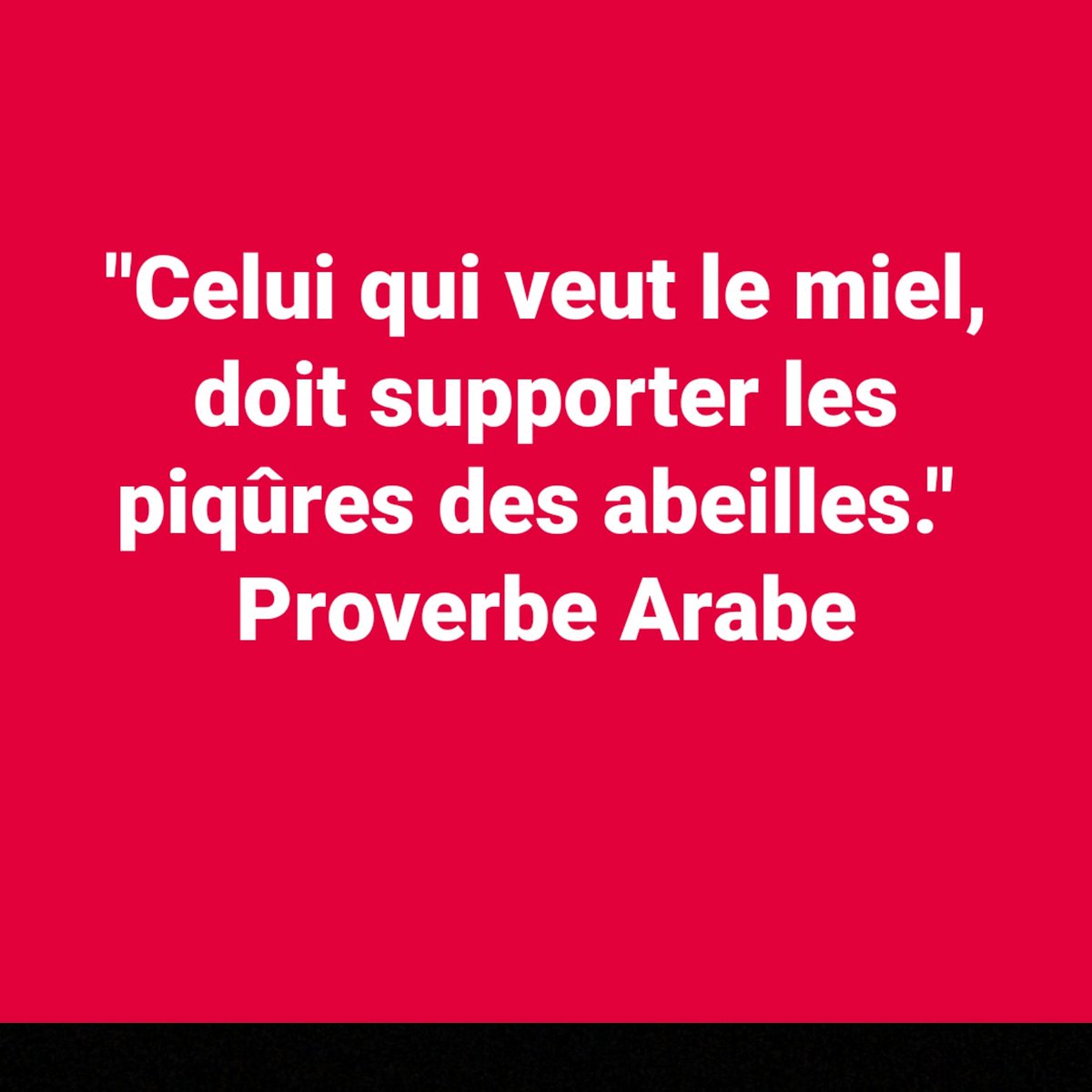 Gratuit Citation Proverbe Arabe - FraisCitation