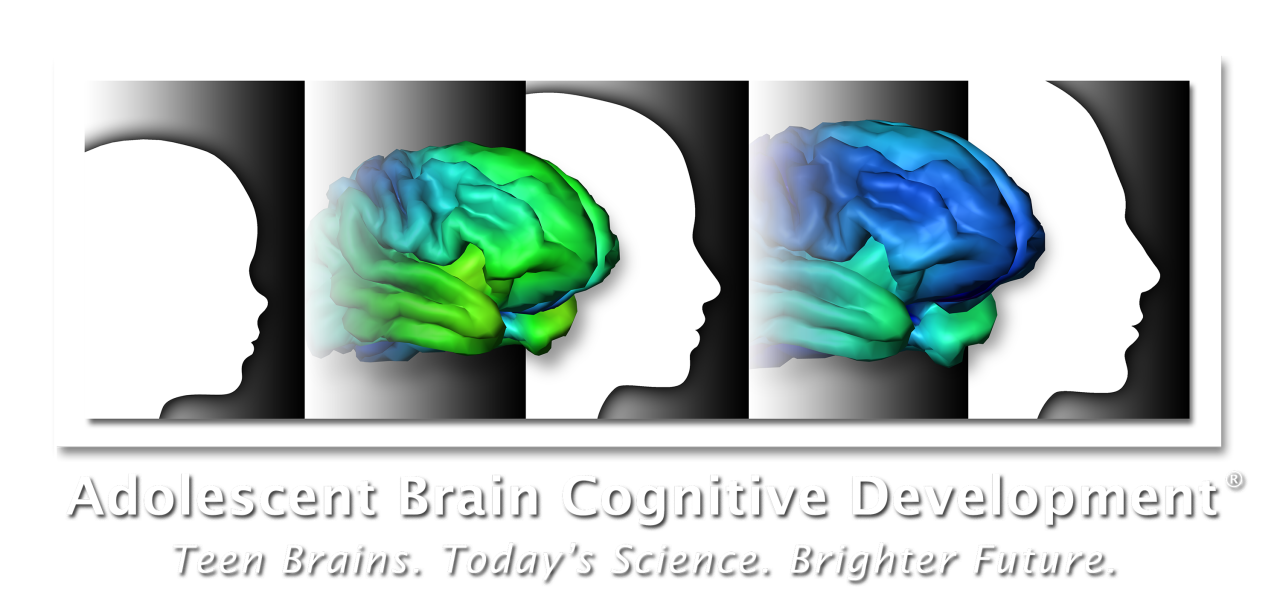 Effects Of Drug Use On The Brain