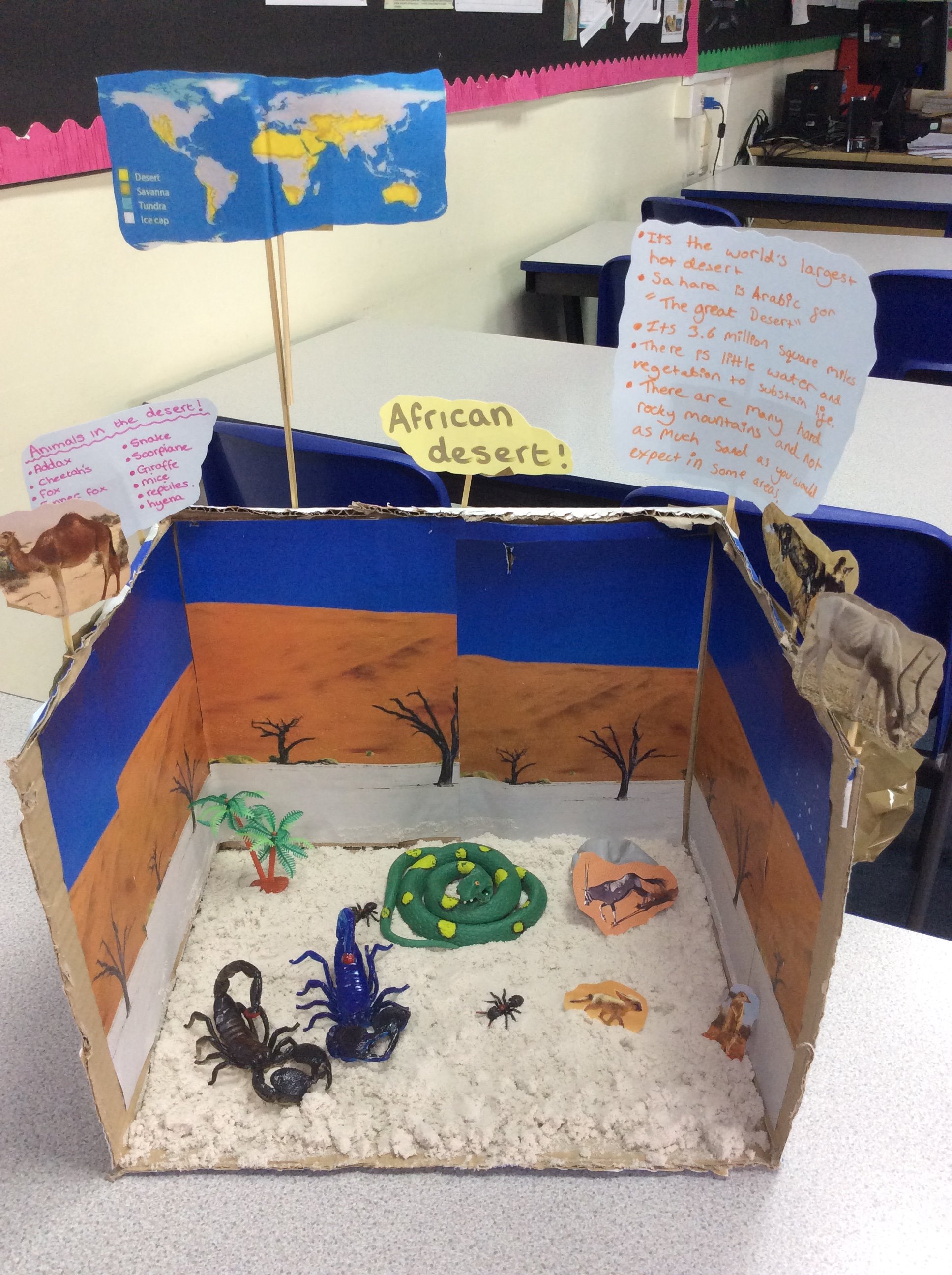 Desert Biome Project In A Box