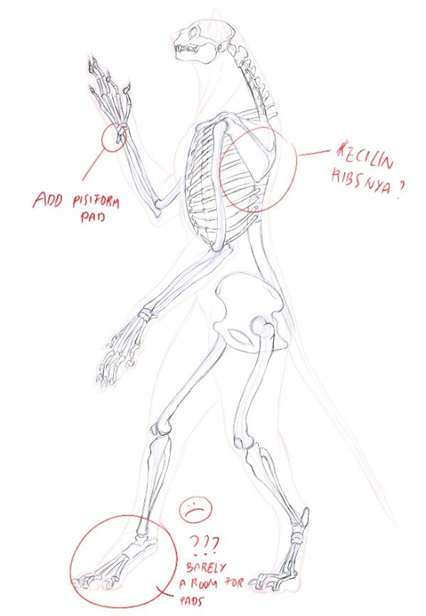 Human Wolf Hybrid Drawings