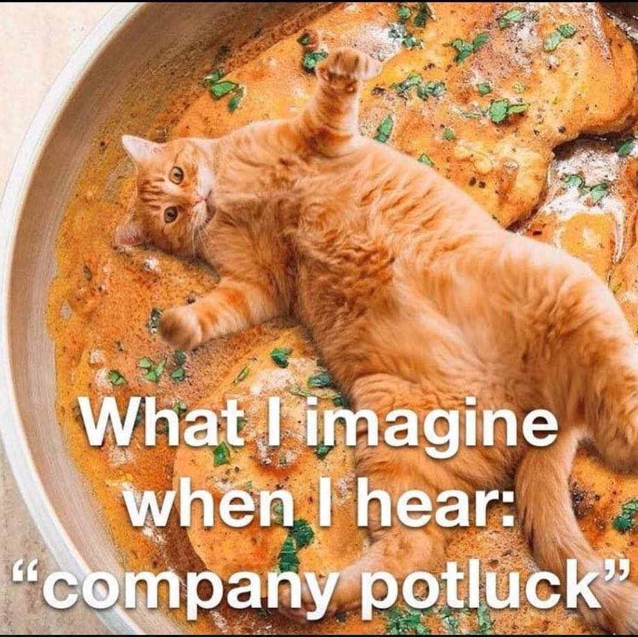 Office Potluck Funny