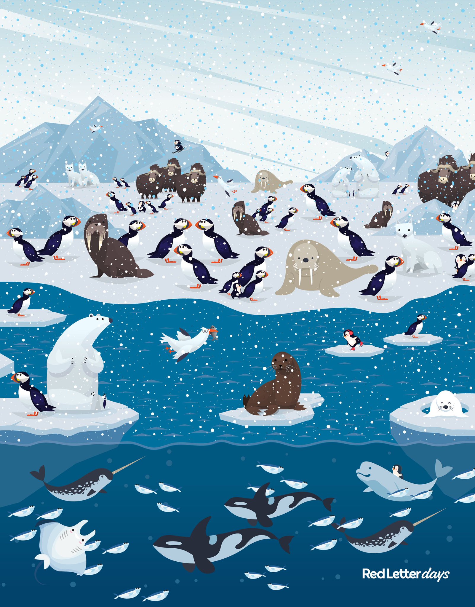 Red Letter Days on Twitter: "I spy with my little eye... some naughty ...