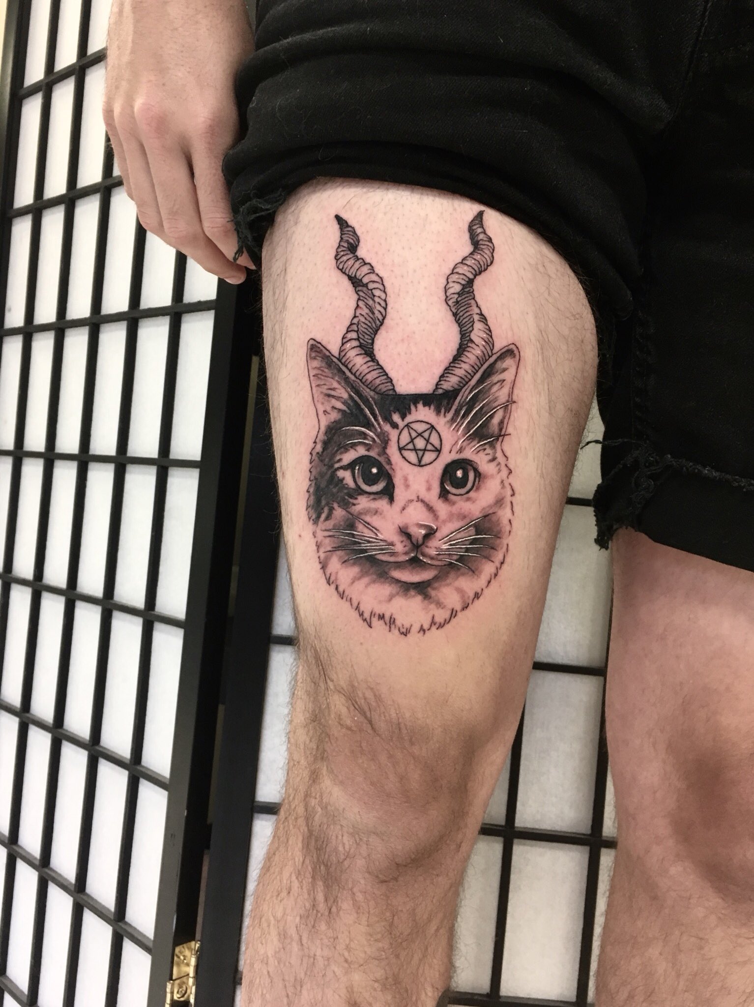 Devil Cat Tattoo