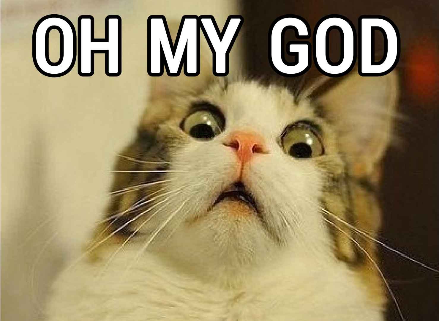 Oh My God Meme Face