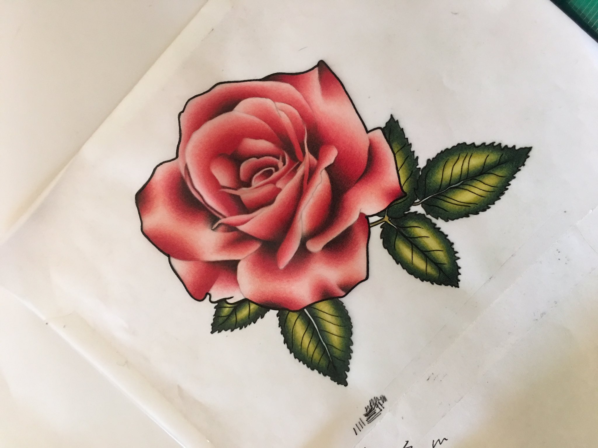 Realistic Red Rose Drawing