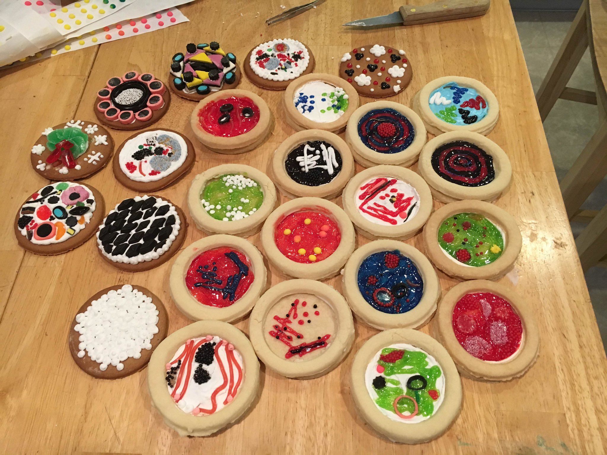 Petri Dish Cookies Microbiology Cookies