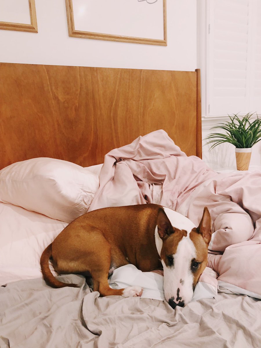 116 best Twitter u/laurdiy images on Pholder | boat wind: 1 laur: 0
