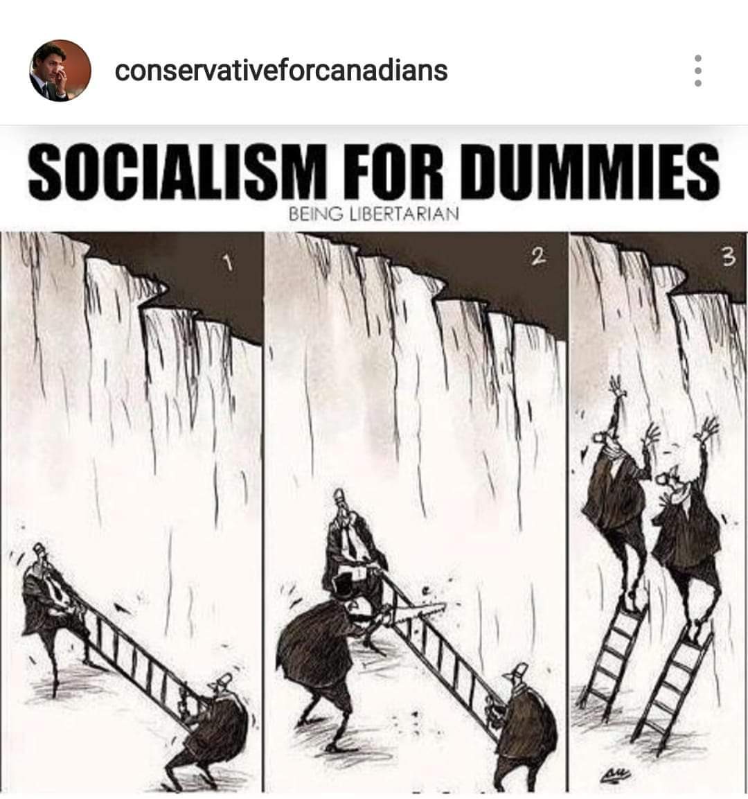 Socialism Ladder Memes Democratic Socialism Memes And Images Imgur