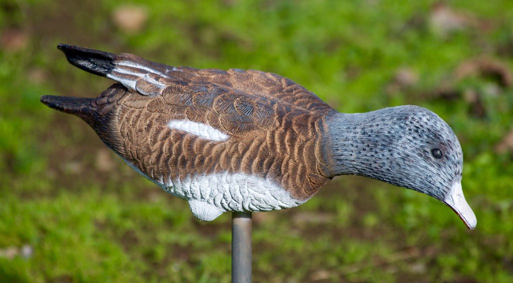 Full Body Wigeon Decoys