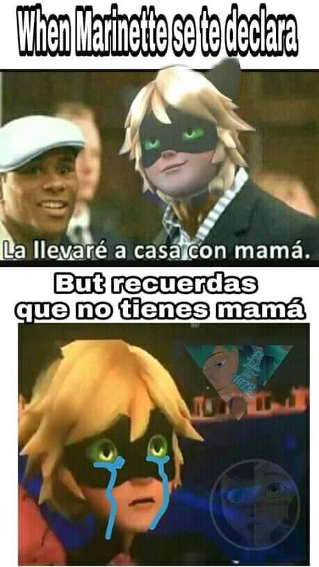 Total 59 Imagen Memes Graciosos De Miraculous Ladybug Viaterra Mx