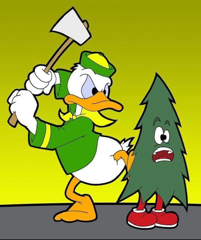 Stanford Tree Memes Meet The Sapling: Bravery And New Beginnings With