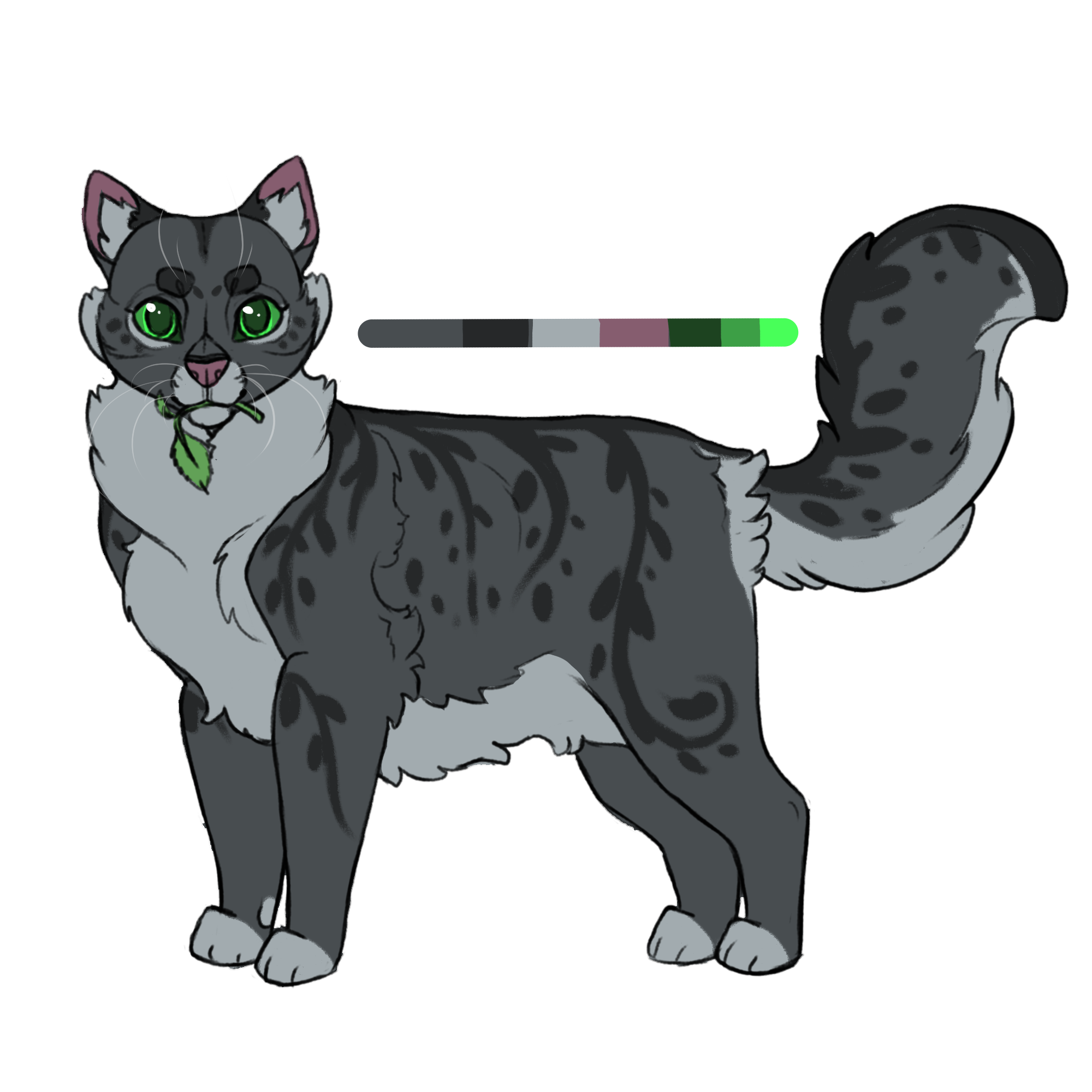 Warrior Cats Willowshine