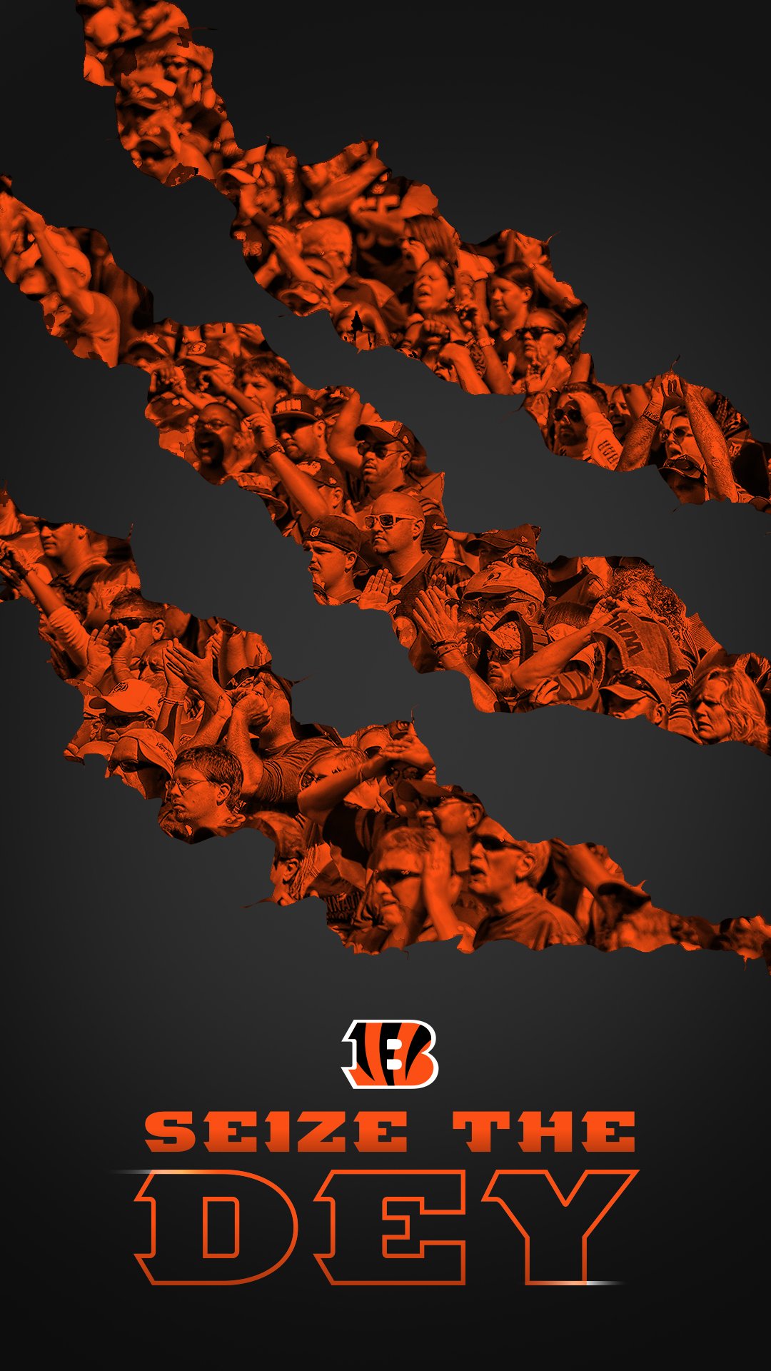 Who Dey Bengals Wallpaper