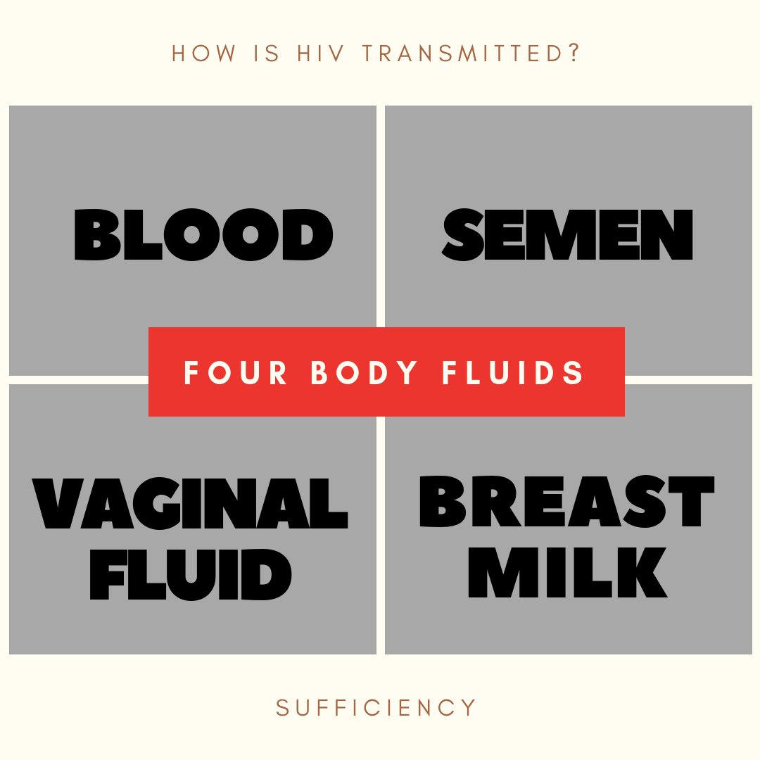 Hiv Transmission Fluids