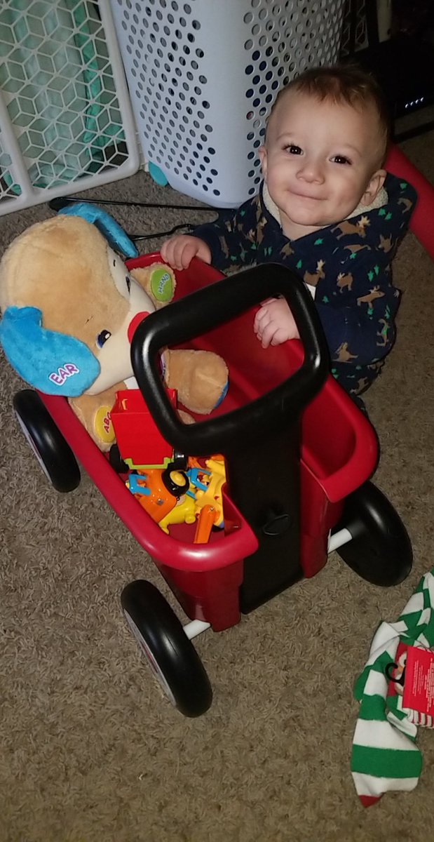 Taylor Funston (@FunstonTaylor) | Twitter