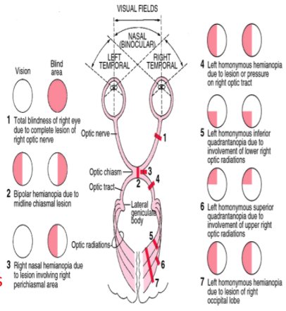 Thread by @jarue369 on Thread Reader App – Thread Reader App