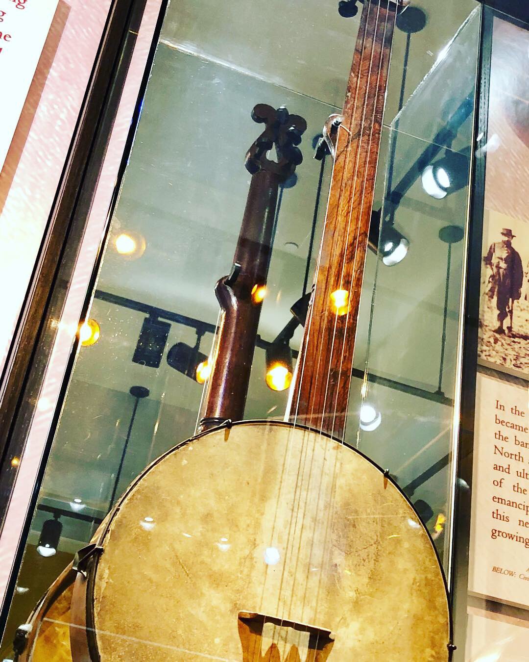 Contrabass Banjo