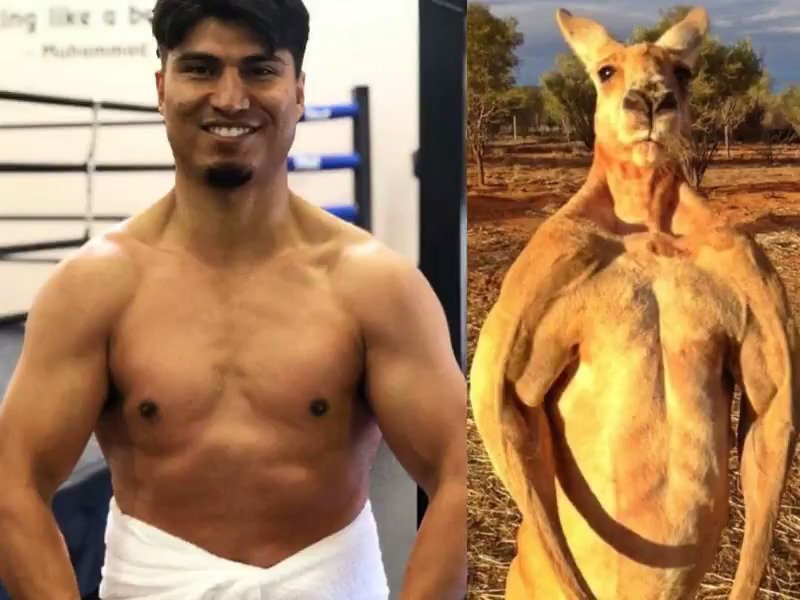 Kangaroo On Steroids