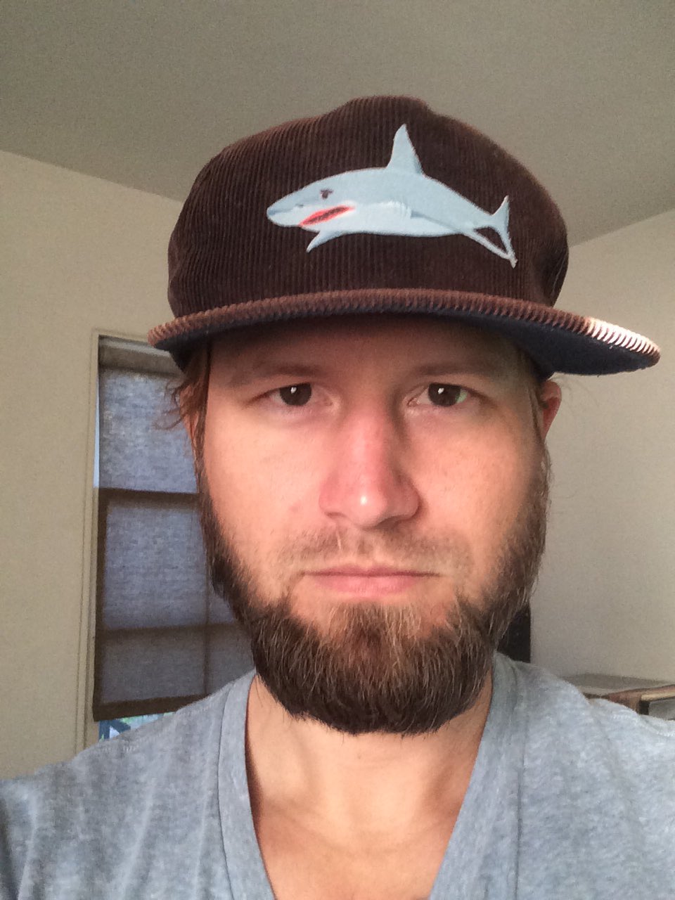 Abraham Lincoln Beard Style