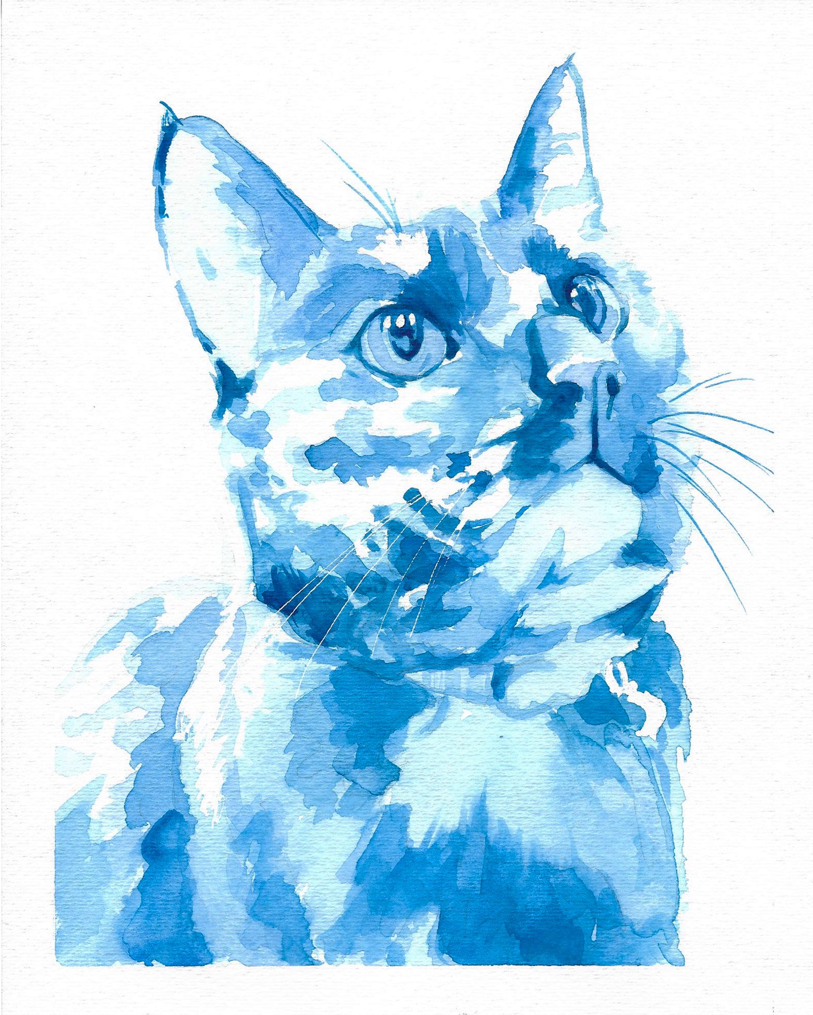 Monochromatic Animal Paintings