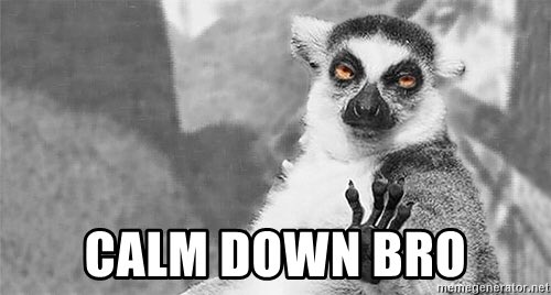 Lemur Meme Calm Down