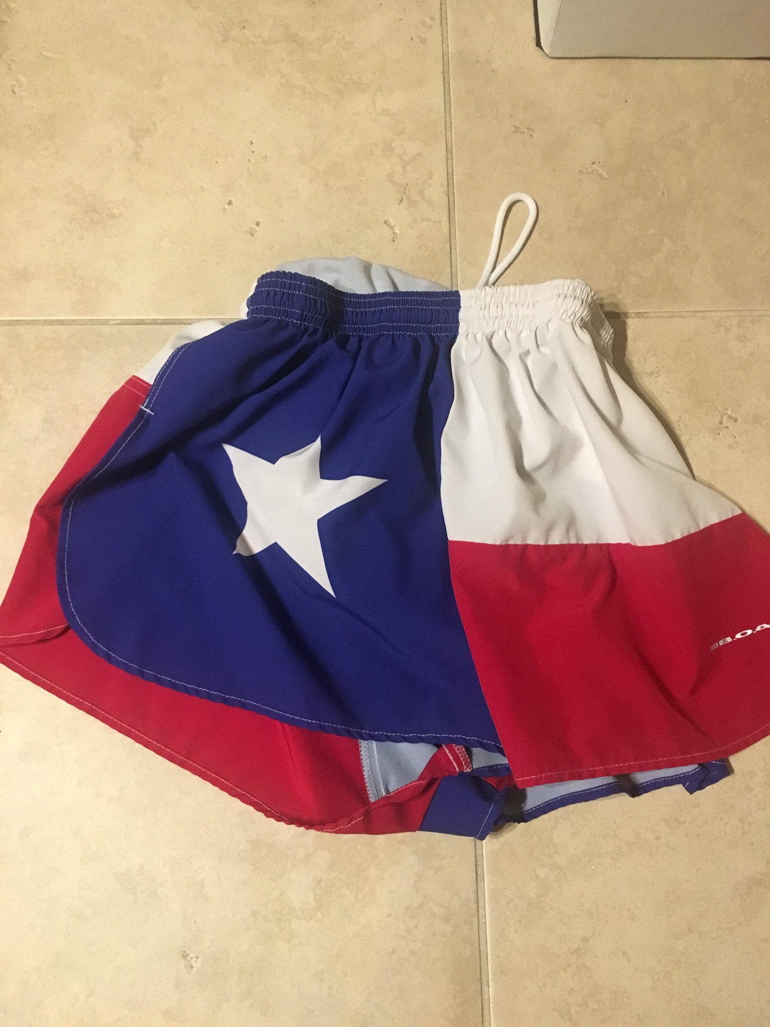 Confederate Flag Shorts