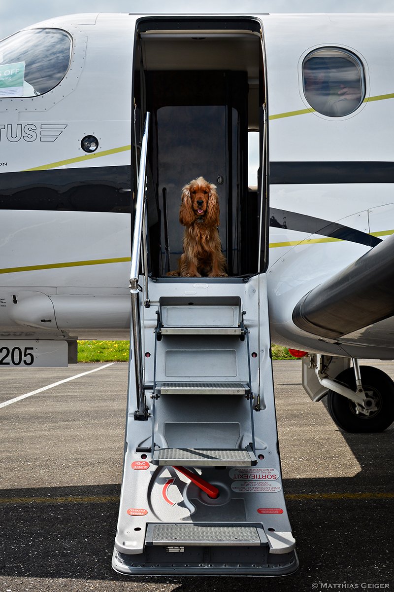 Fly7 - Charter a private jet ! Jet Hire