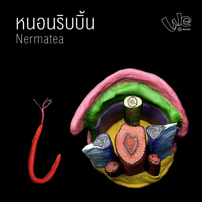 We Mahidol on Twitter: "ผลงานการปั้นของพี่ ๆ นักศึกษาคณะวิทยาศาสตร์ ม.มหิดล เรียนทั้งวิทย์ ฝึก ...