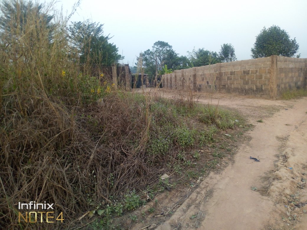 Swt Sash Awa. (@SwtSash_Awa) | Twitter