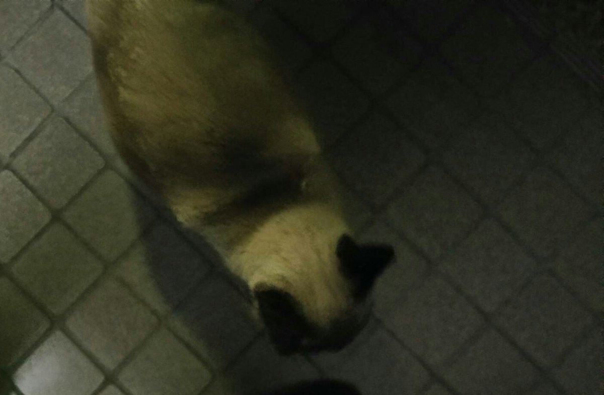 みーすけ (@misuke_867) | Twitter