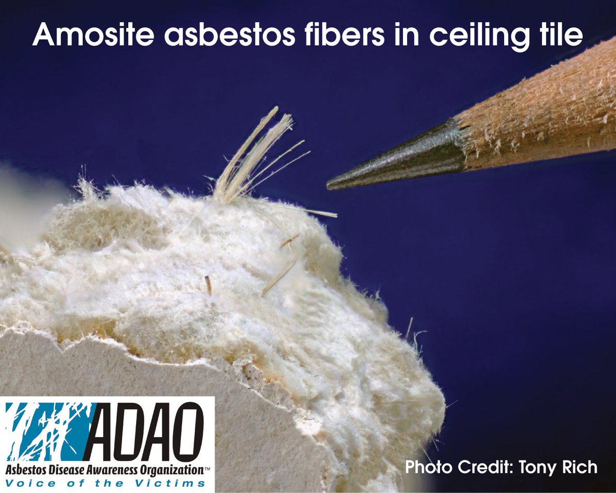 Amosite Asbestos