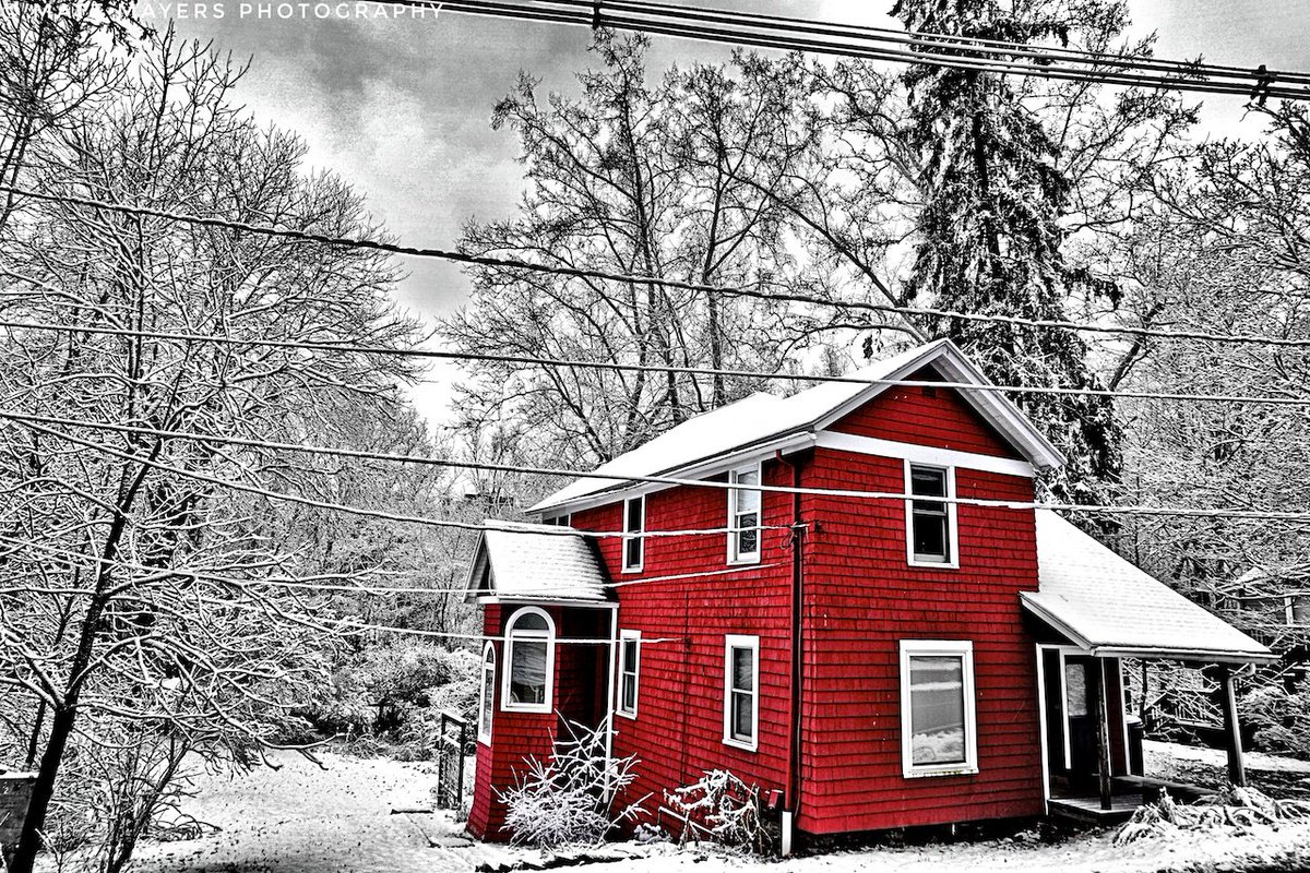 Red Isolation (photo)