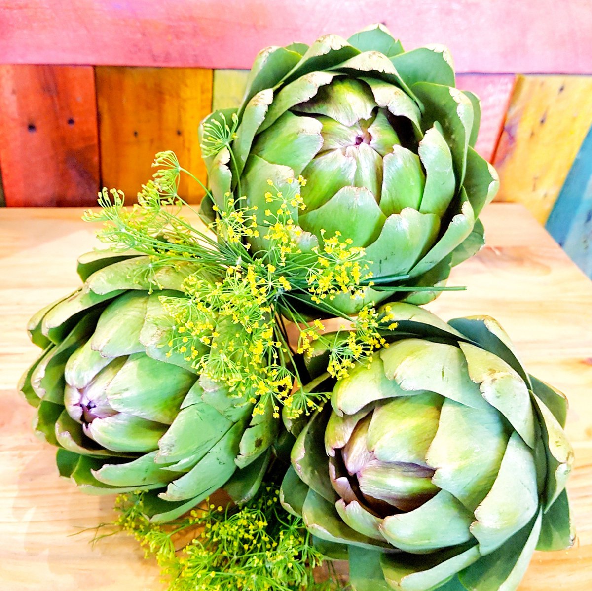 Red Atiso Flower | Best Flower Site