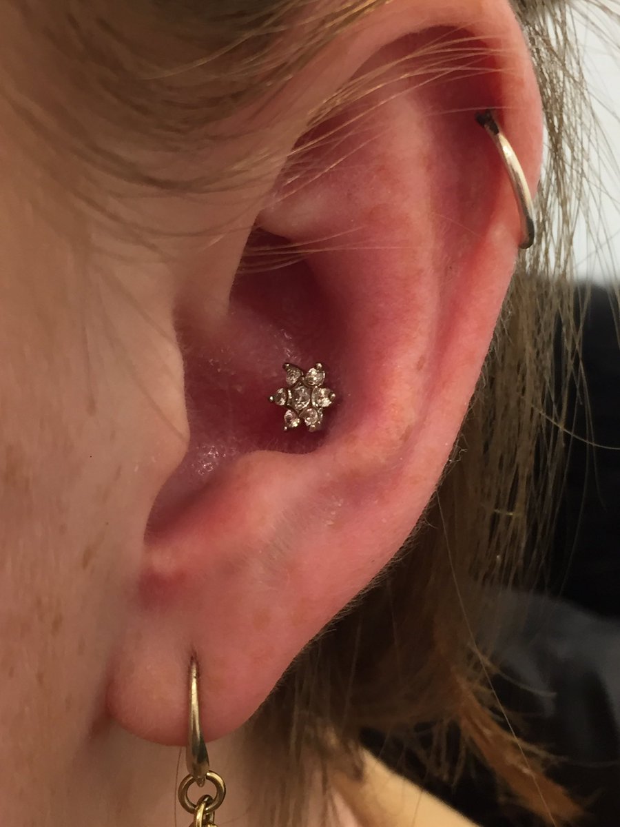 No Hard Feelings Tattoo And Piercing Conch Piercing With A, 56% OFF