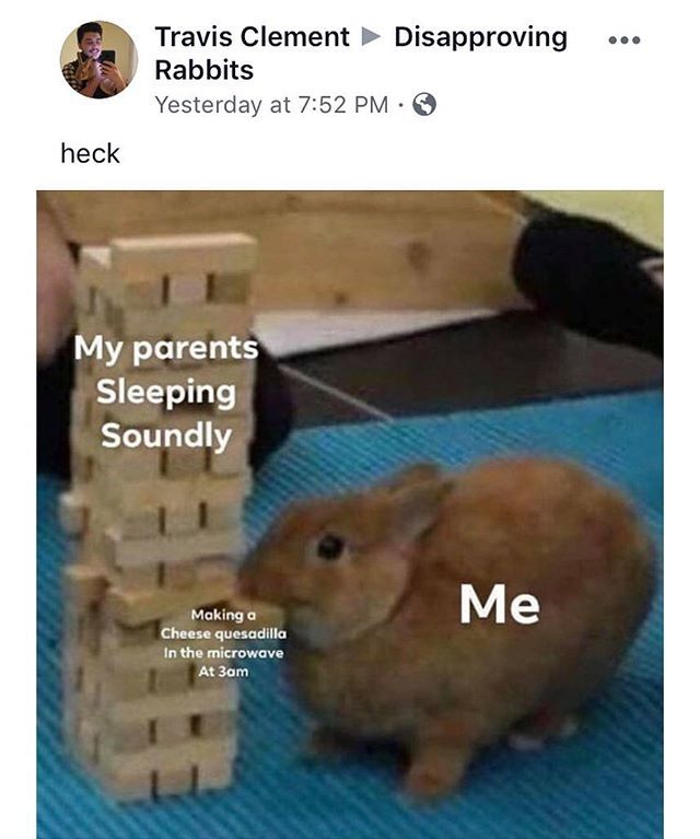 Disapproving Rabbit Meme
