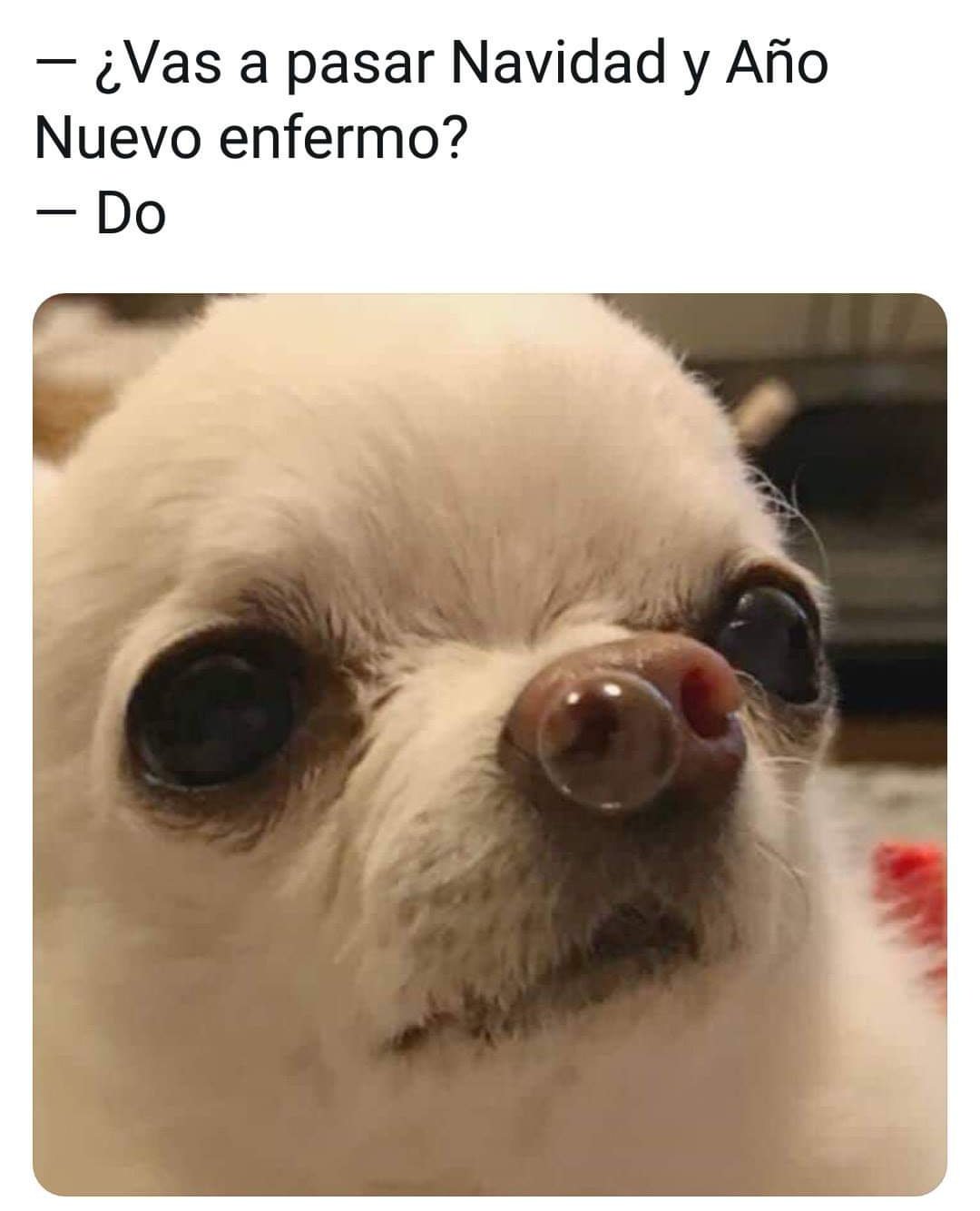 Memes Enfermo Happy Tree Friends | Snotty Boy Glow Up Meme