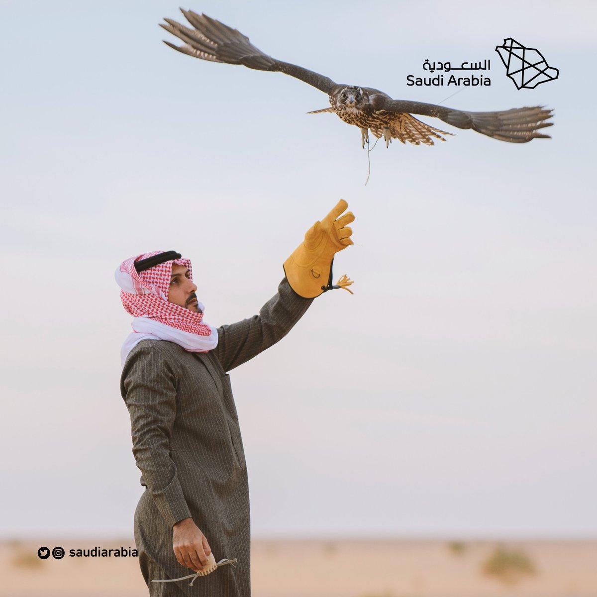 Saudi Kings With Falcons