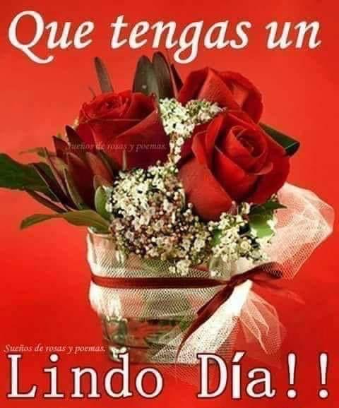 Que Tengas Un Lindo Dia
