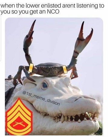 Usmc Officer Memes 11 Air Force Memes That Will Make You Laugh For