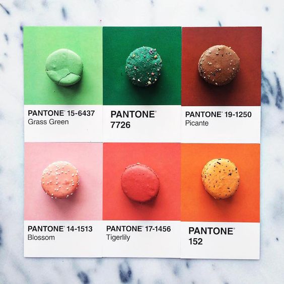 Suggerimenti interno Appendice pantone 7726 BERMAD riavvolgere Alla ...