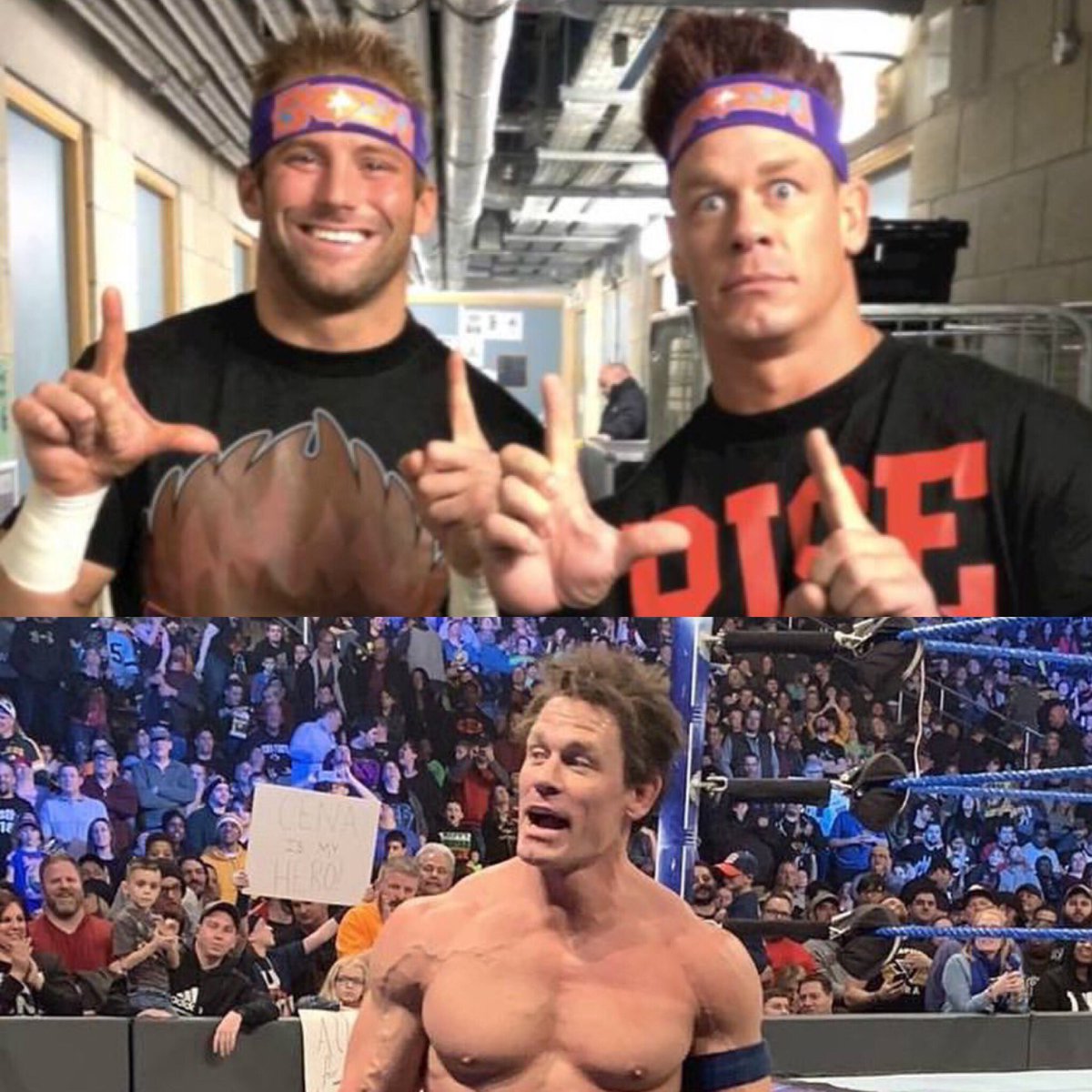 220 best Broski images on Pholder | Gaybrosgonemild, Maltese and Sonaz ...