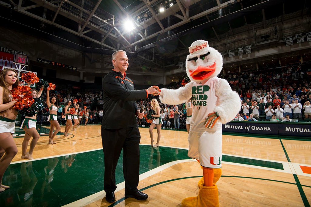 52 best Twitter Um_sebastian images on Pholder | THAT WINNING FEELING ...