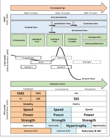 Physical Development Model