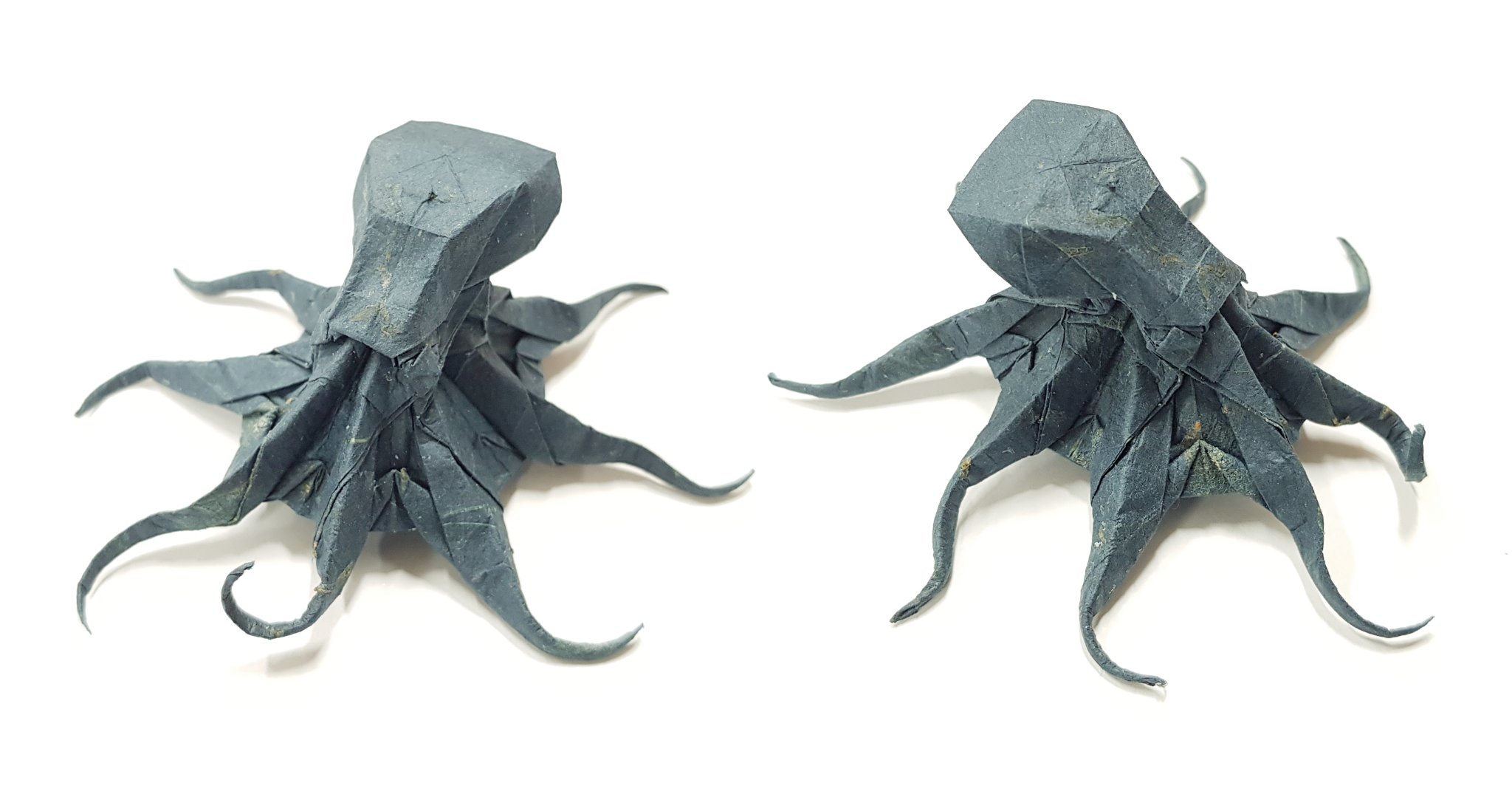 Origami Octopus Advanced Pdf