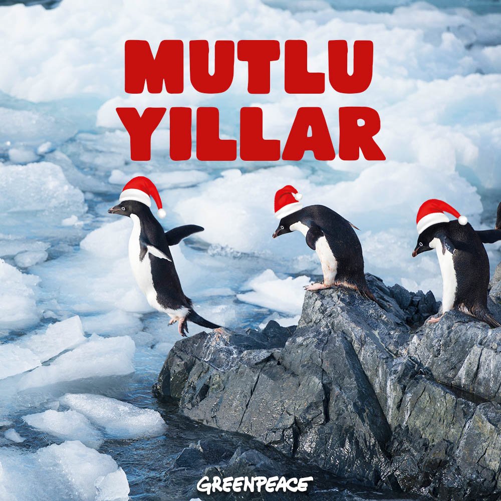 694 best Mutlu images on Pholder | KGBTR, Turkey and Turkey Jerky