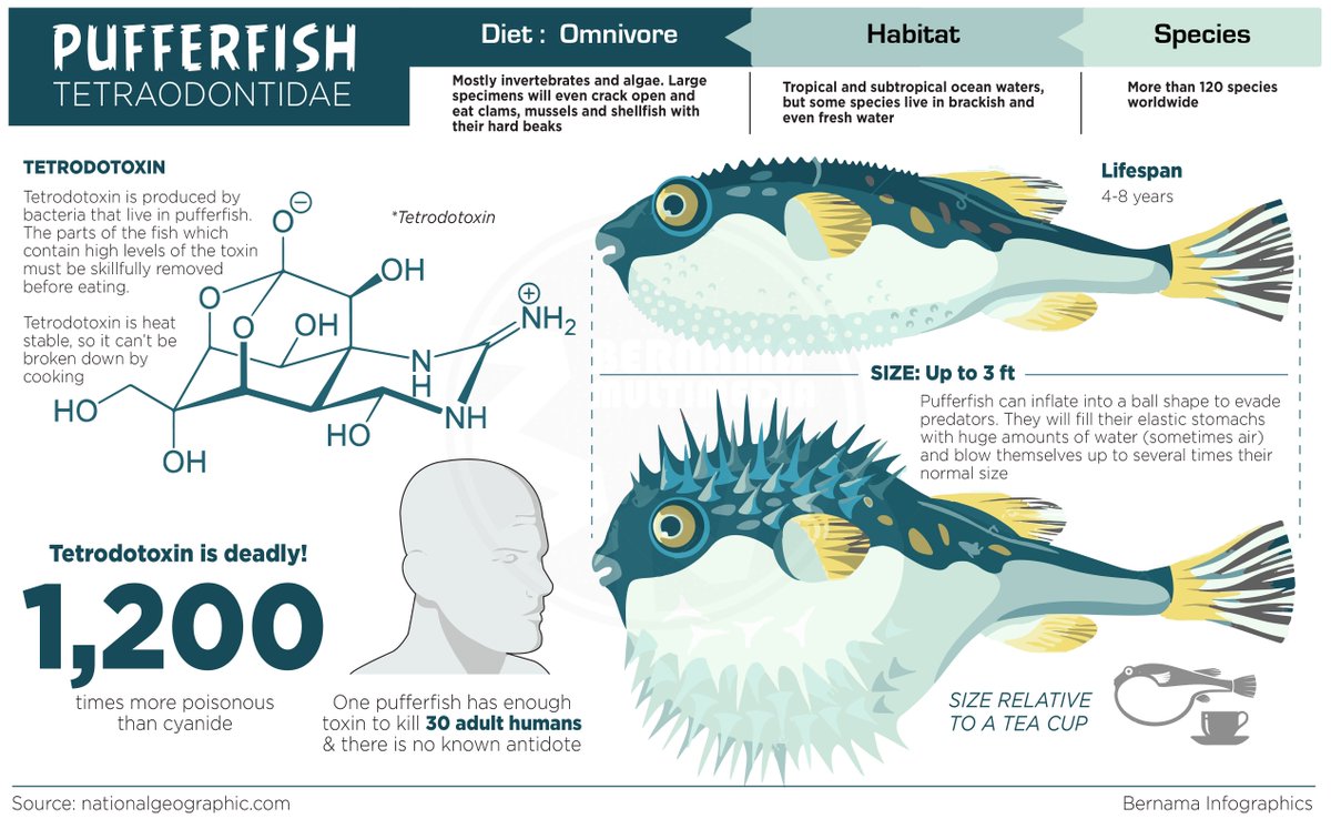 Tetrodotoxin Animals