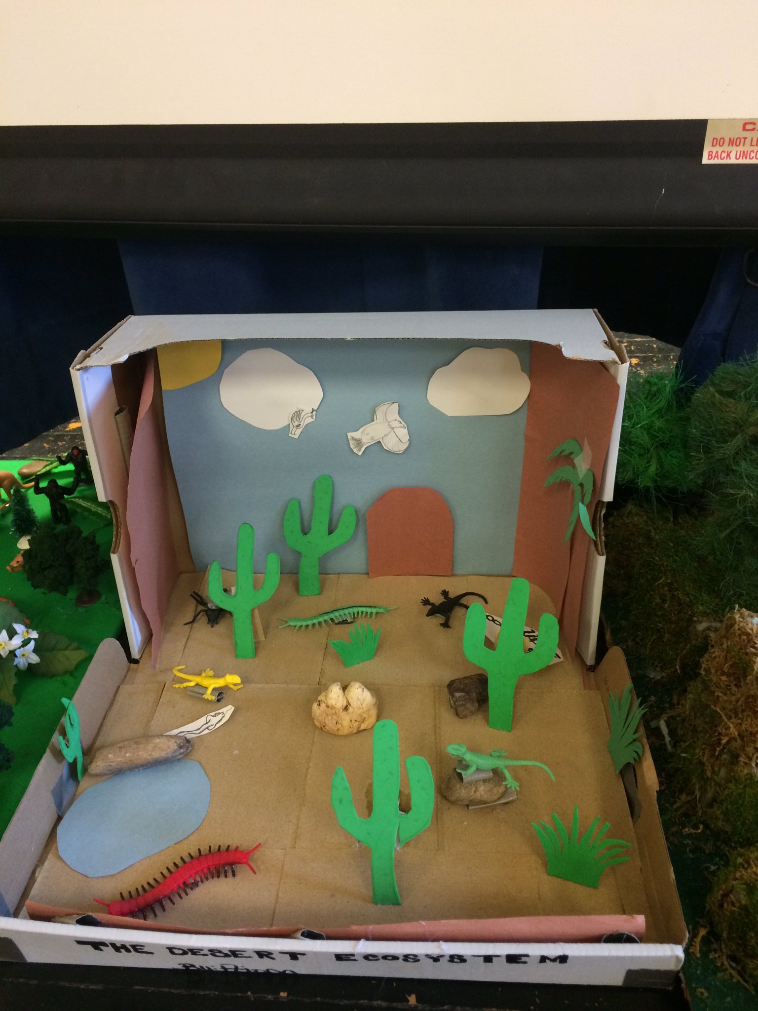 5th Grade Desert Diorama